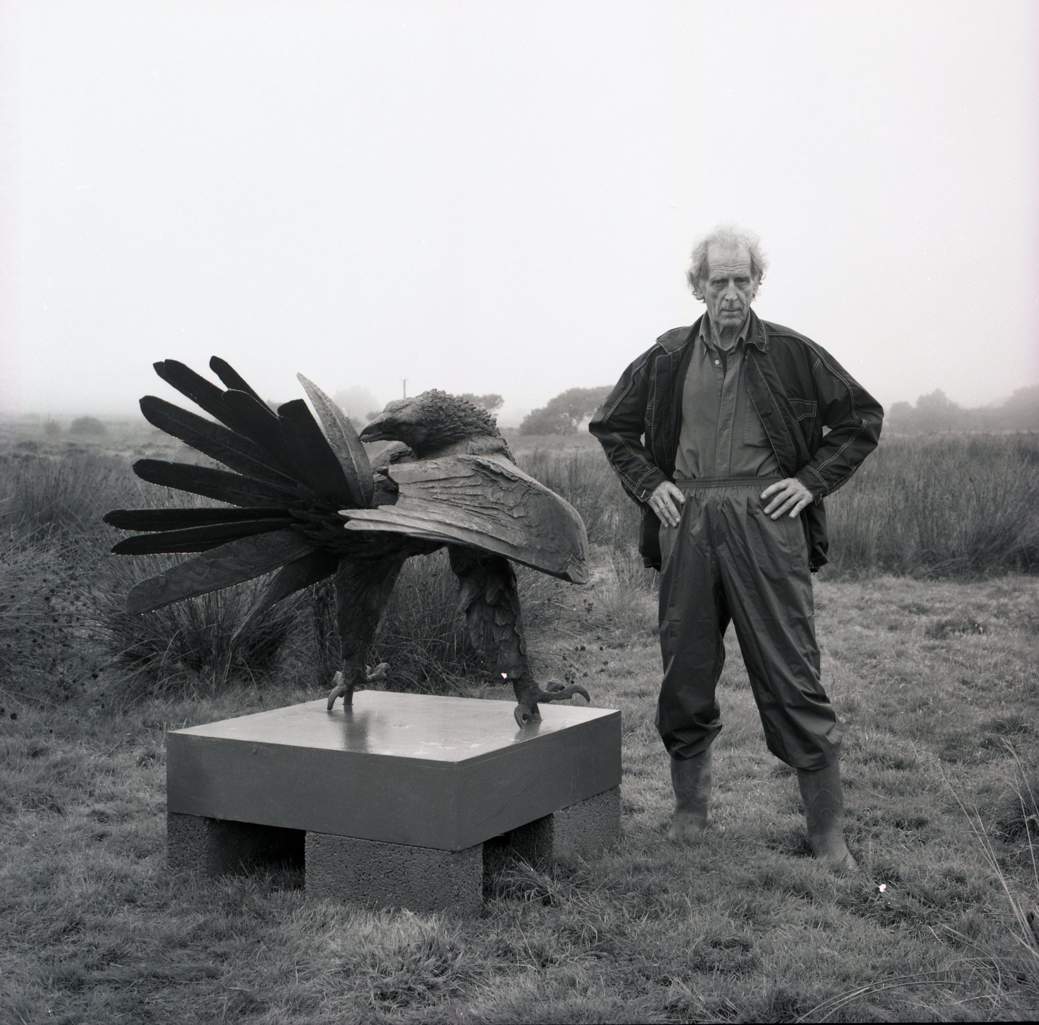 Denis Curry | Welsh Arts Archive